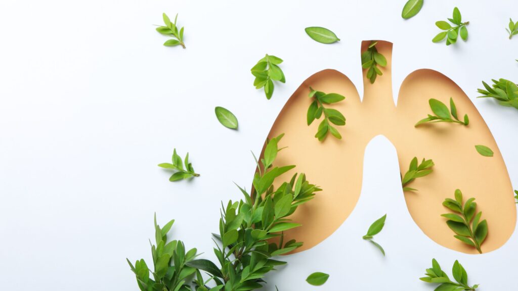 Ayurveda for Your Lungs: A Holistic Approach to Respiratory Health ...